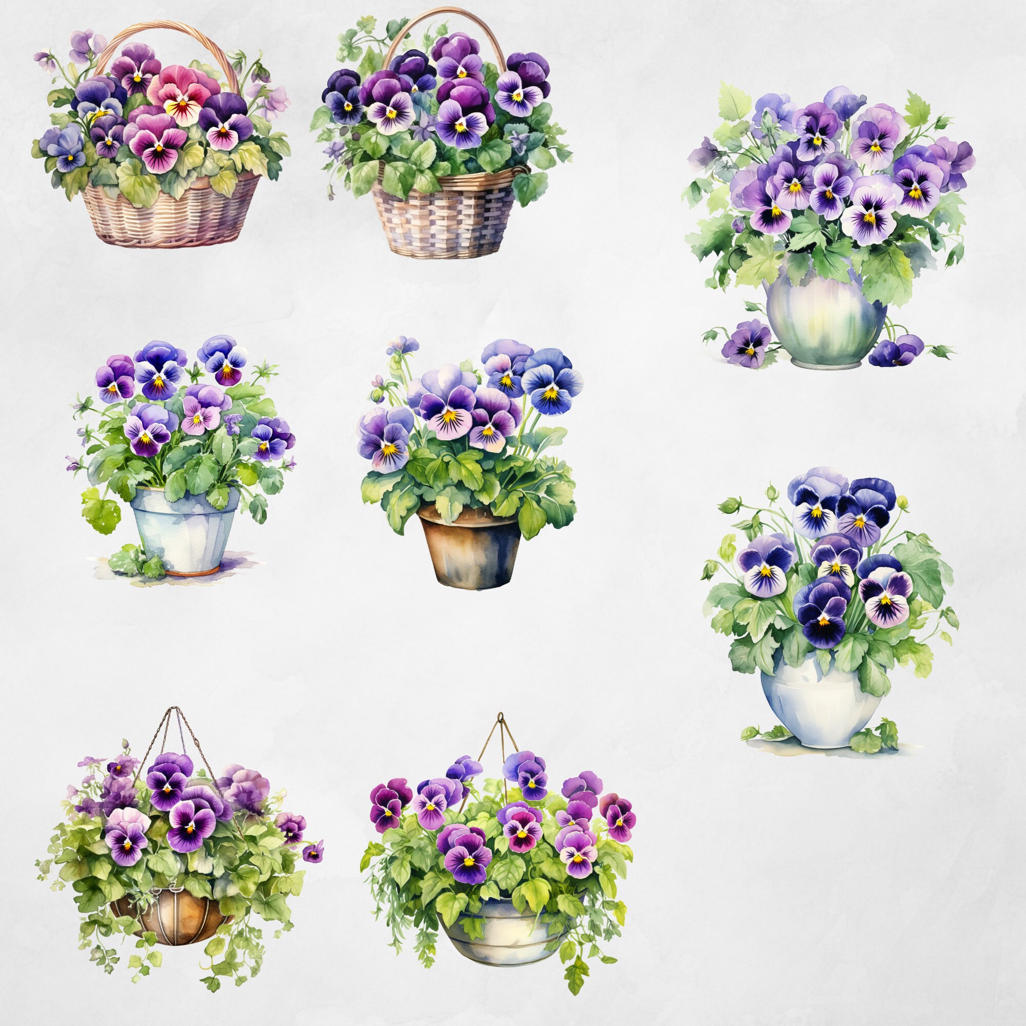 Watercolor Pansy Flower Clipart, Spring Floral PNG, Watercolour Pansies ...