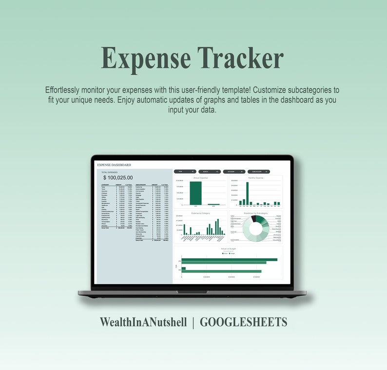 Premium Expense Tracker, Google Sheets Expense Budget Template - Etsy
