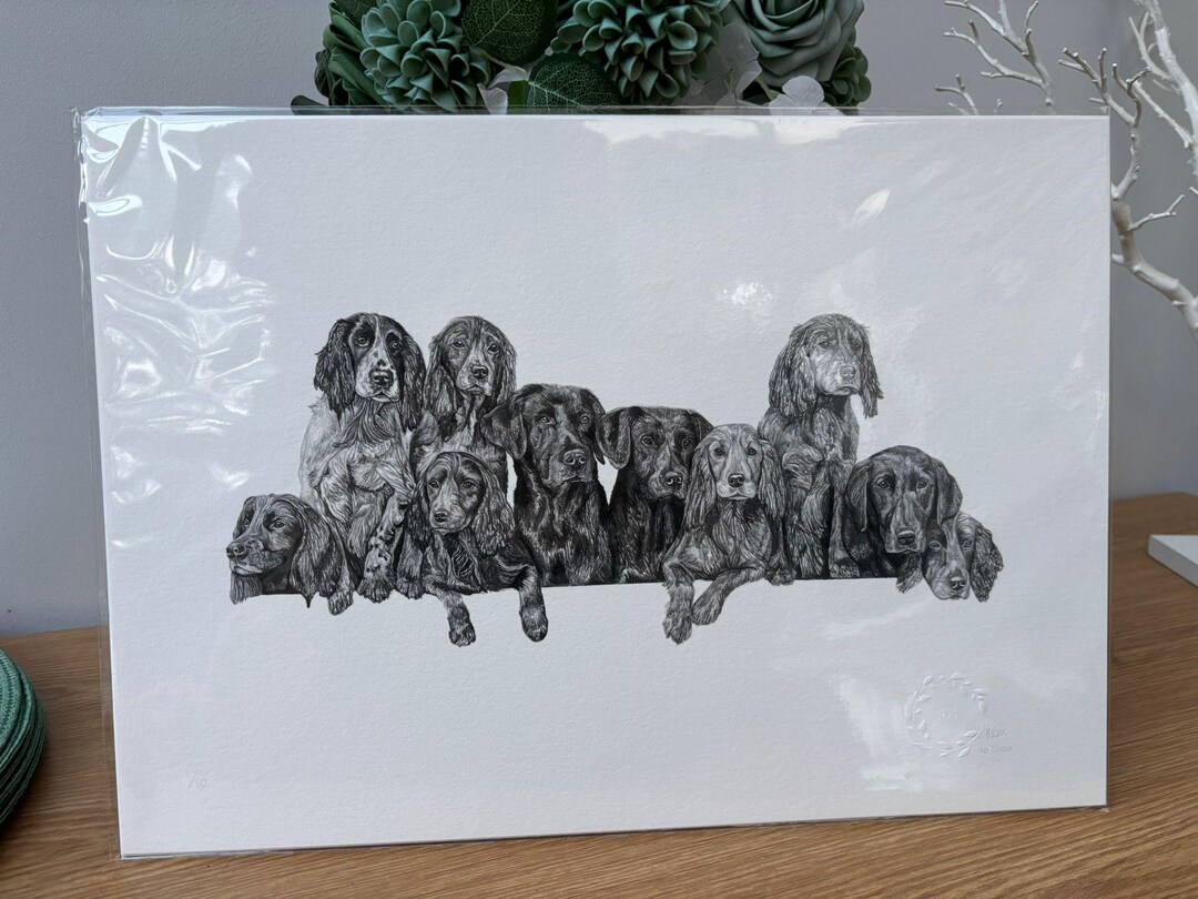 Limited Edition Dog Art Print – Hand-drawn Cocker Spaniels & Labradors ...