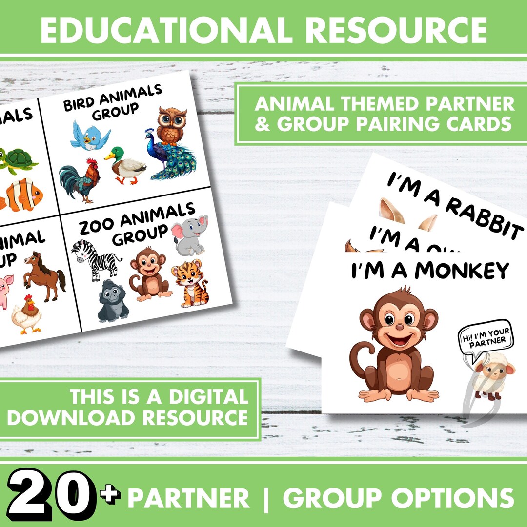 Animal Themed Classroom Student Partner Cards, Small Group Random ...