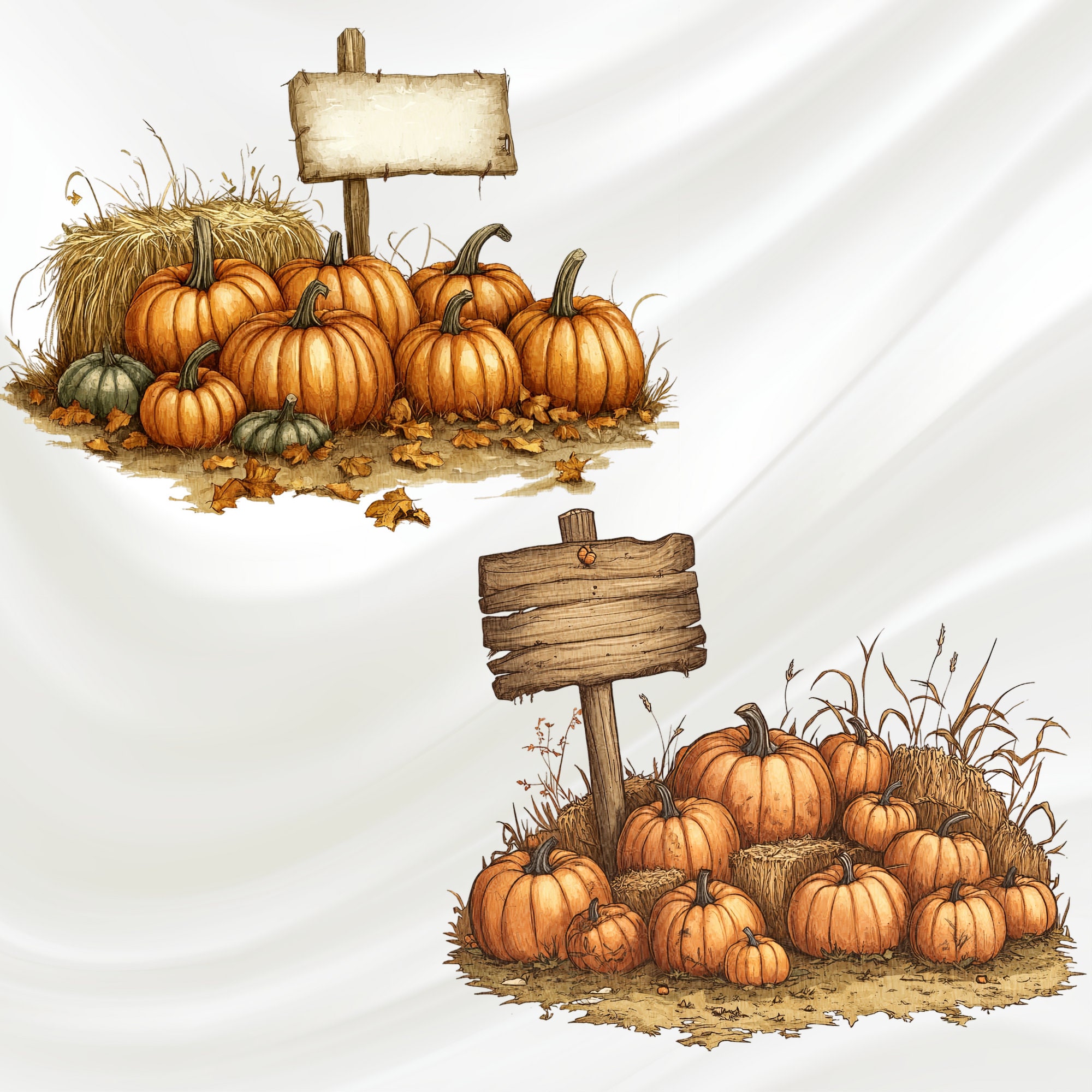Fall Pumpkin Clipart | Decorative Pumpkins With Sign Png | Pumpkins ...