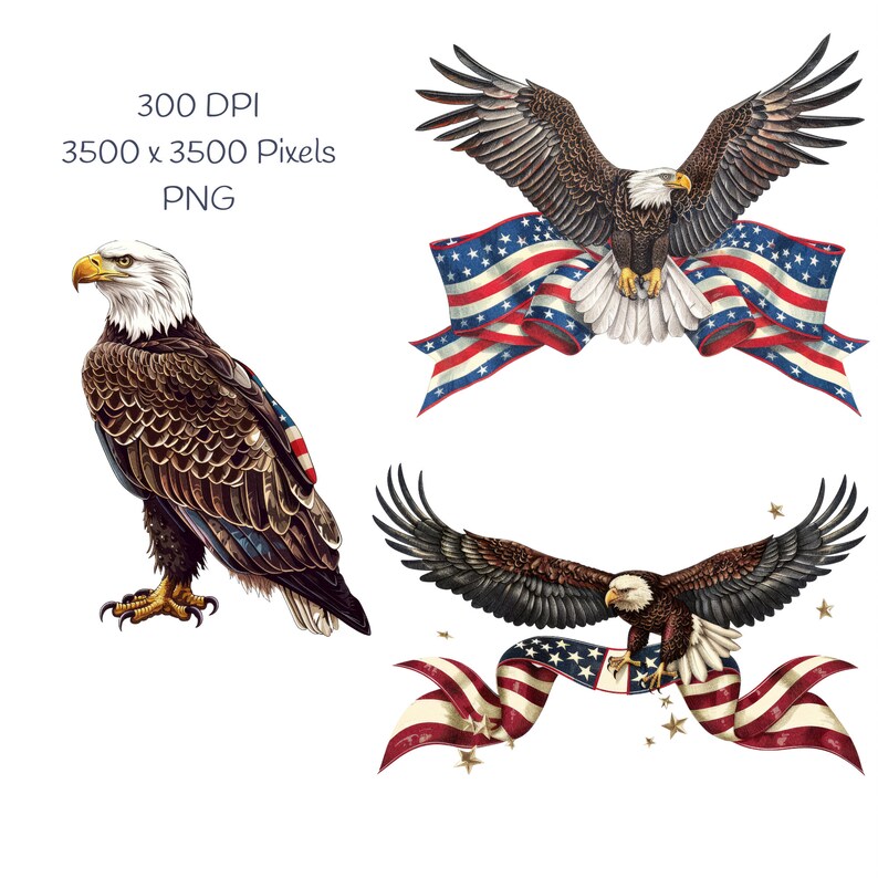 American Flag and Bald Eagle, 4th of July Png, American Flag Eagle ...