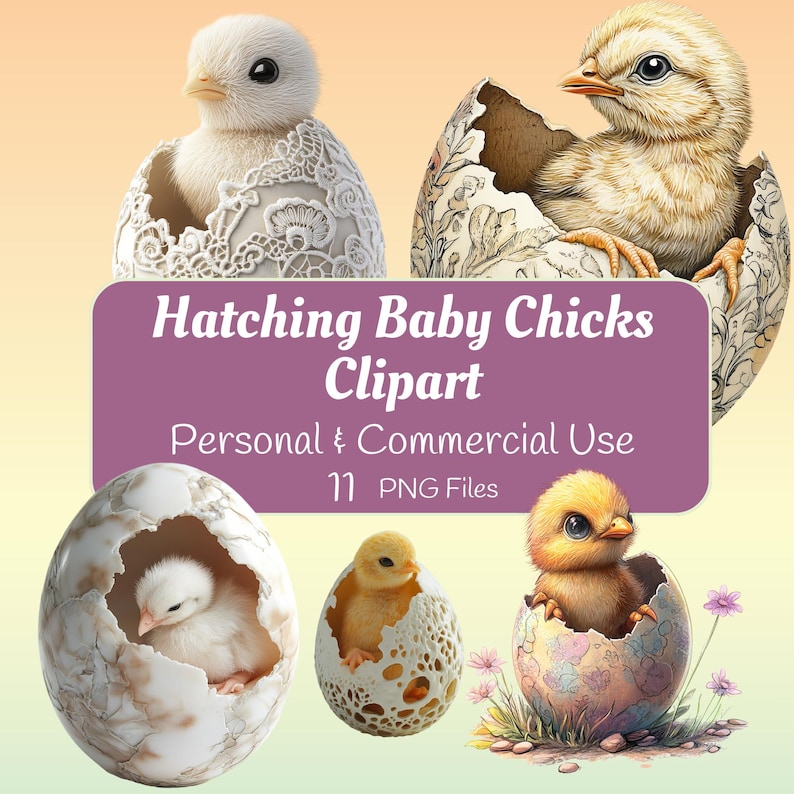 Cute Baby Chicks, Hatching Chick Clipart, Springtime Hatchlings Digital ...