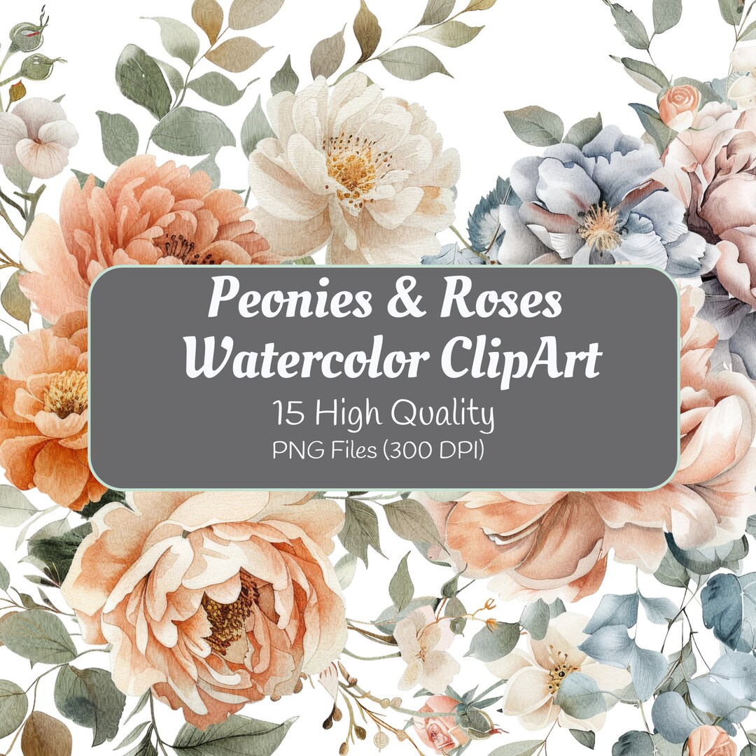 Peonies and Roses Clipart | Commercial Use Floral Png | Watercolor ...