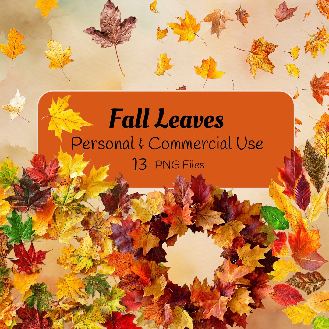 Fall Leaves Png | Fall Leaf Clipart Bundle | Thanksgiving Clipart ...