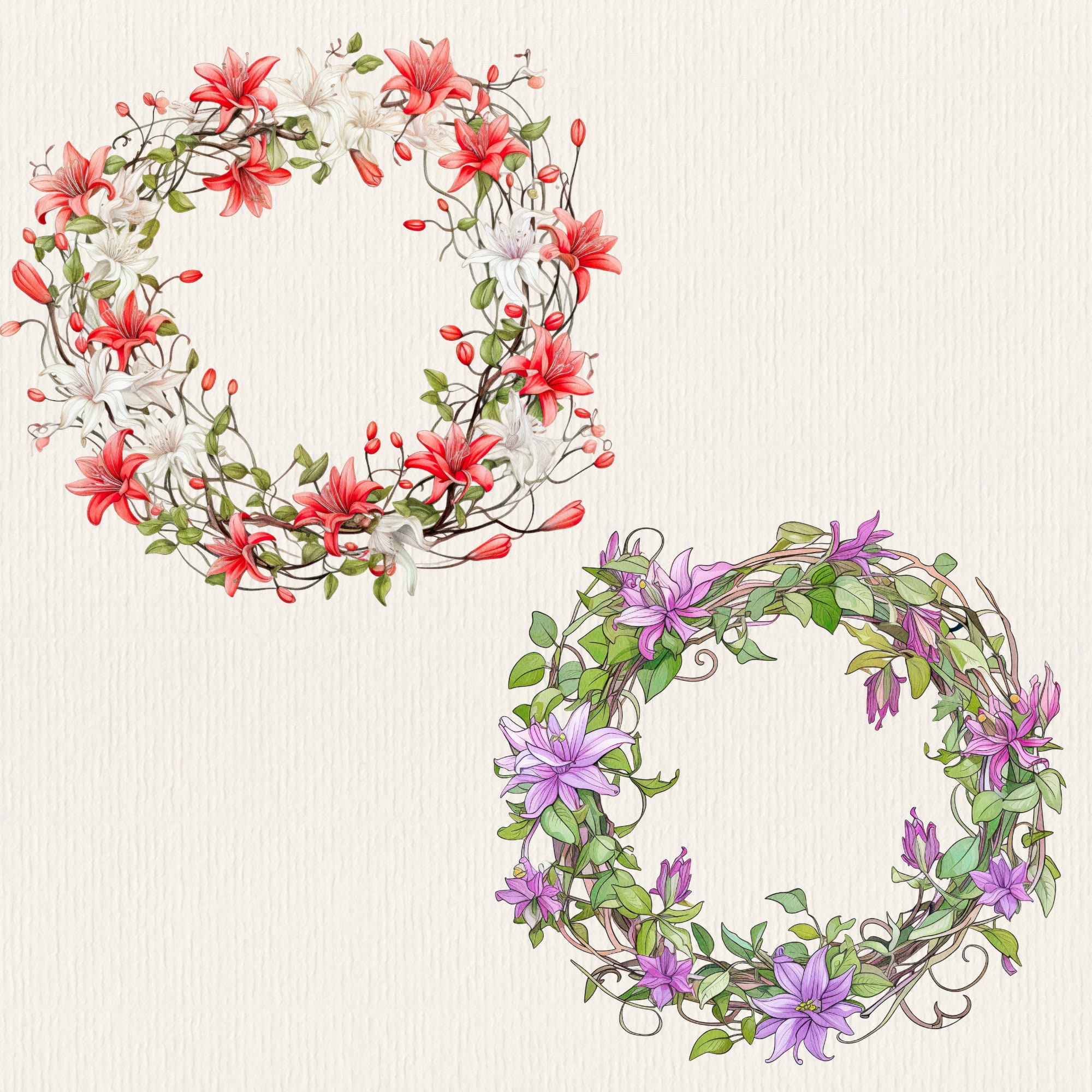 Honeysuckle Clipart Honeysuckle Wreath and Vine Png Commercial Use ...