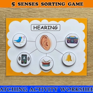 Five Senses Sorting Activity: Homeschool Printable Worksheets (PDF ...