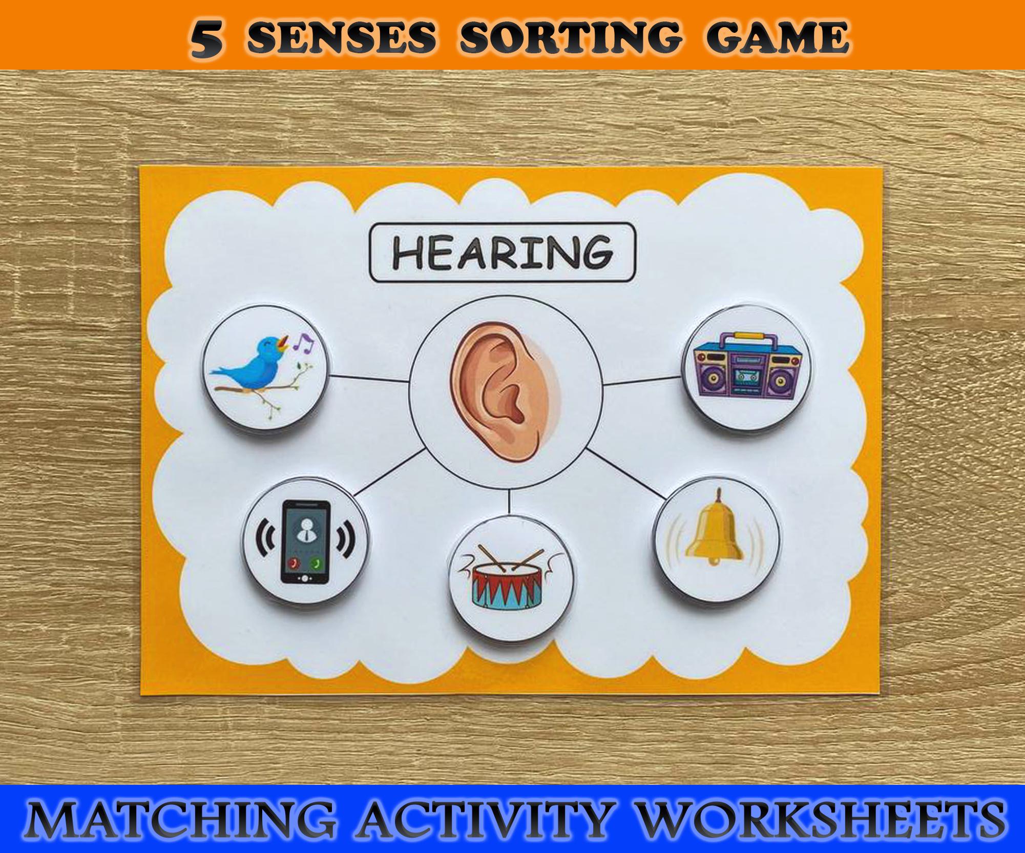 Five Senses Sorting Activity: Homeschool Printable Worksheets (PDF ...