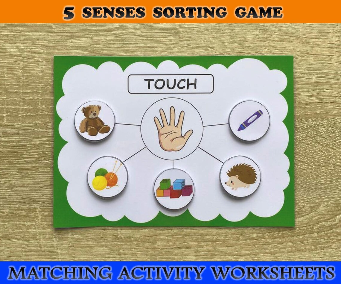 Five Senses Sorting Activity: Homeschool Printable Worksheets (PDF ...