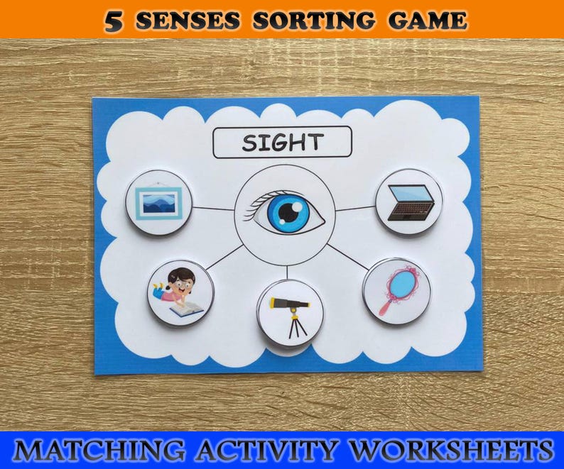 Five Senses Sorting Activity: Homeschool Printable Worksheets (PDF ...