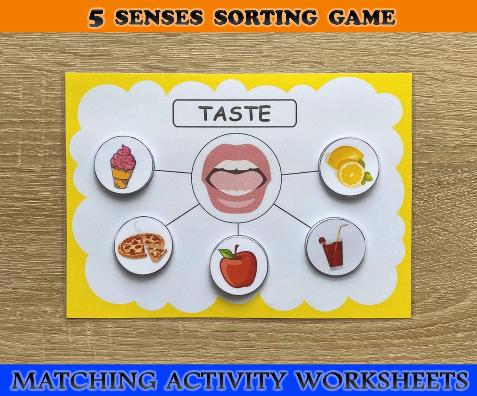 Five Senses Sorting Activity: Homeschool Printable Worksheets (PDF ...