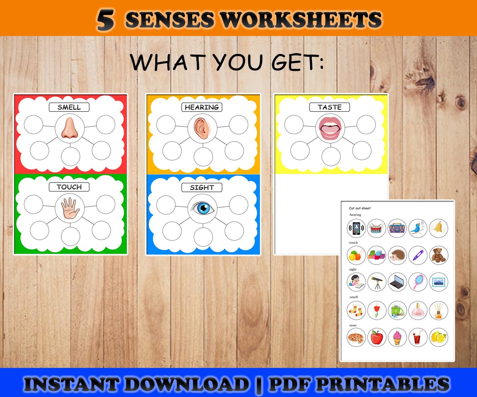 Five Senses Sorting Activity: Homeschool Printable Worksheets (PDF ...