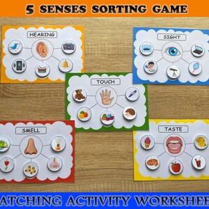 Five Senses Sorting Activity: Homeschool Printable Worksheets (PDF ...