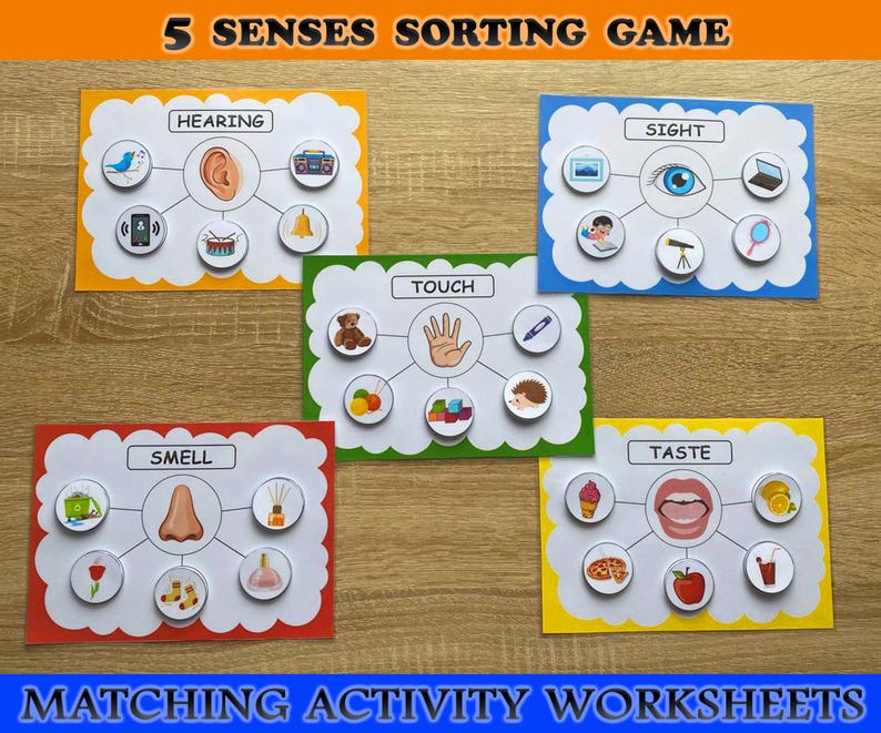 Five Senses Sorting Activity: Homeschool Printable Worksheets (PDF ...