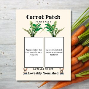 Carrot Patch Farm Sign Footprint Art, Easter Footprint, Carrot ...