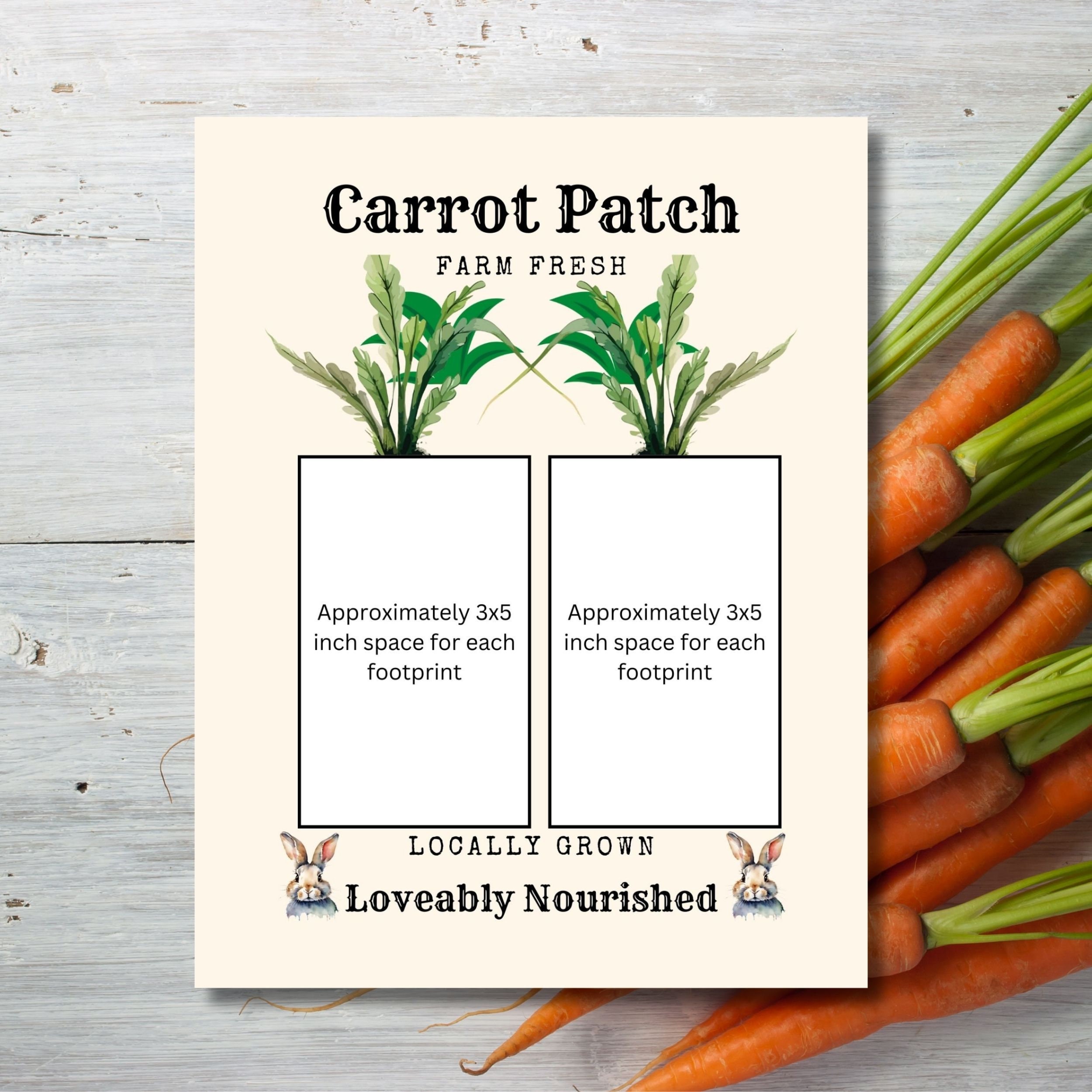 Carrot Patch Farm Sign Footprint Art, Easter Footprint, Carrot ...