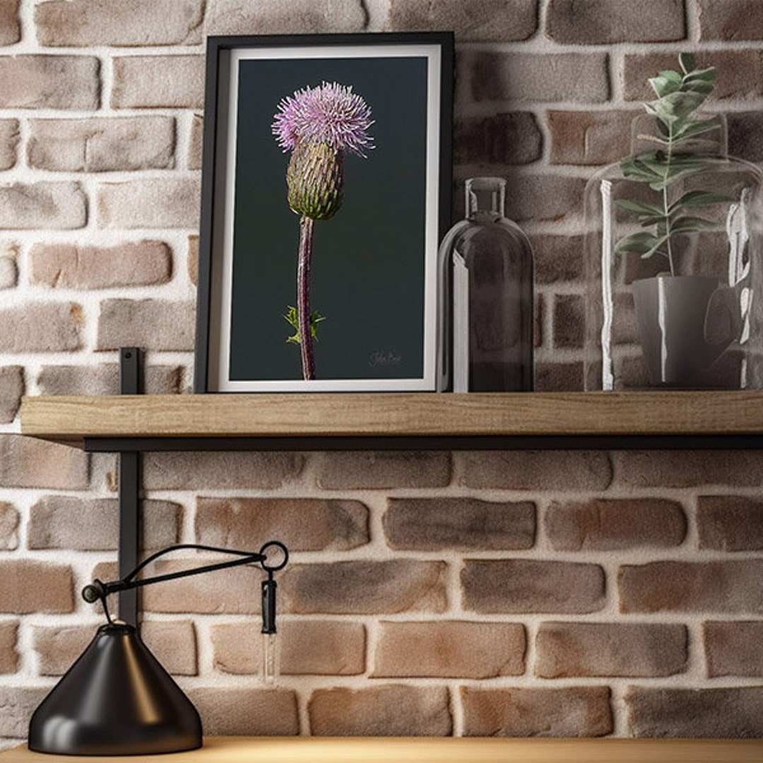 Thistle Wall Art Thistle Print Thistle Flower Photography Original ...