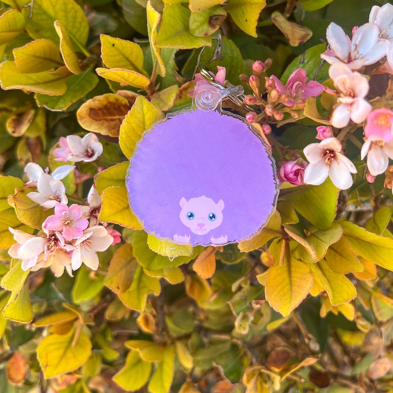 Pygmy Puff - Etsy