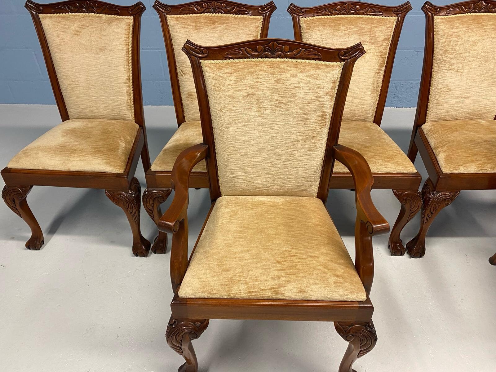 8 Elite Harrods Chippendale Style Dining Chairs to Be Professionally ...