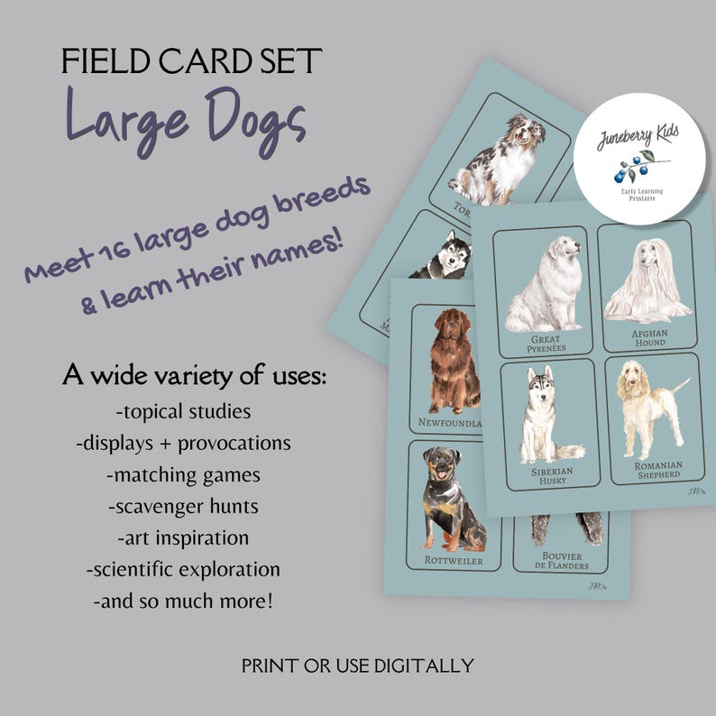 Large Dog Breeds DIGITAL Printable Study Bundle | Pet Poster ...