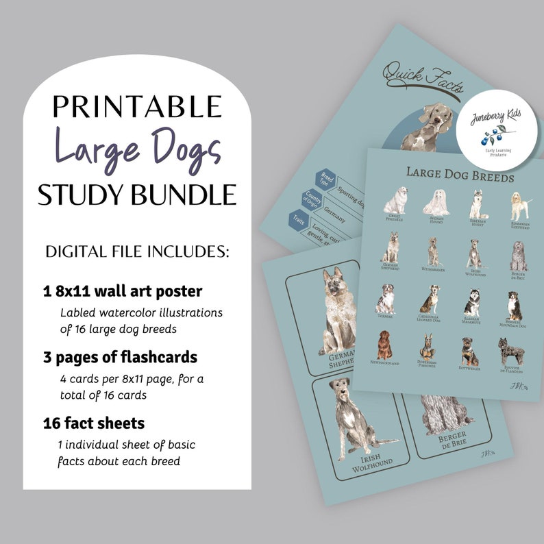 Large Dog Breeds DIGITAL Printable Study Bundle | Pet Poster ...