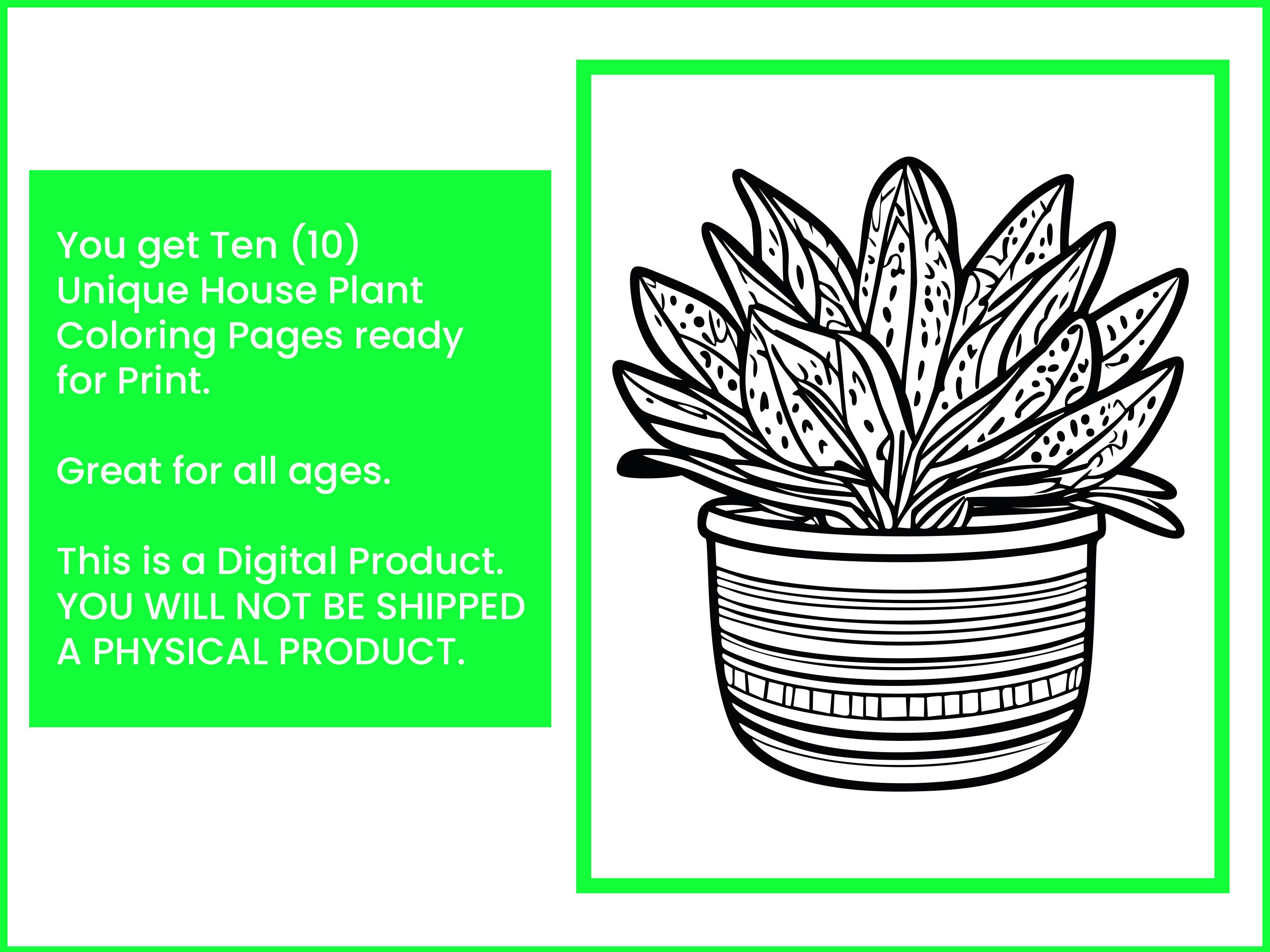 House Plant Coloring Pages - Perfect for Kids and Adults Alike. 10 ...