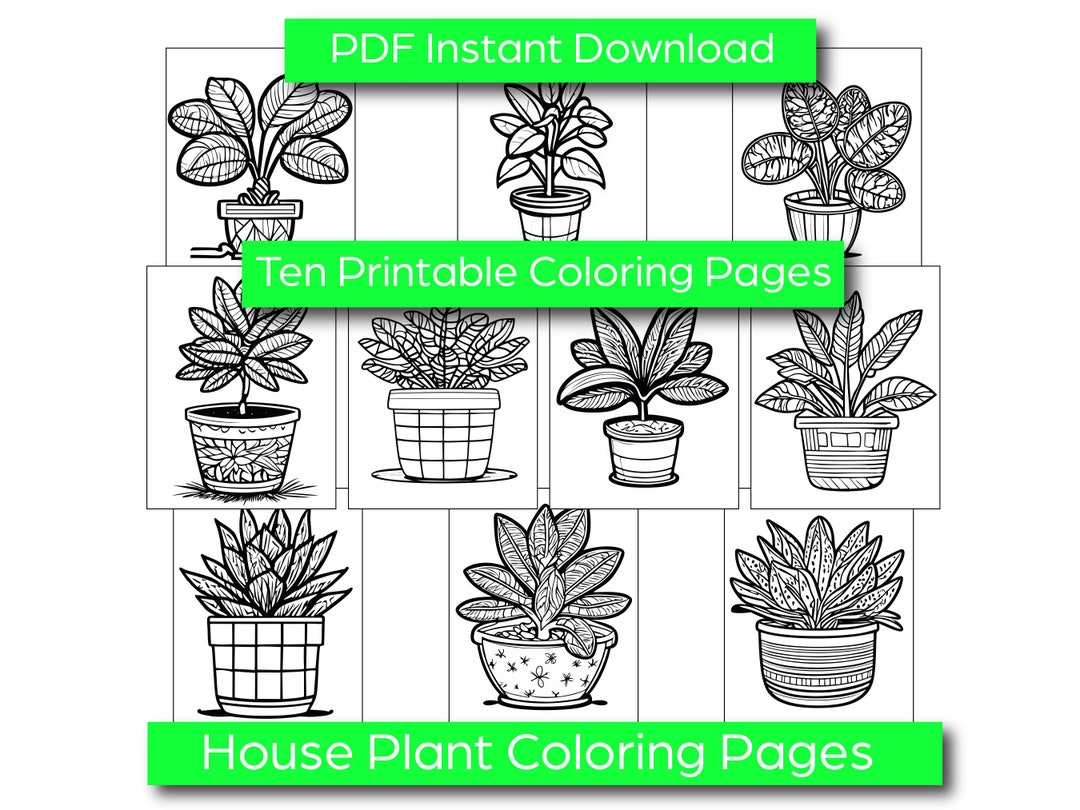 House Plant Coloring Pages - Perfect for Kids and Adults Alike. 10 ...