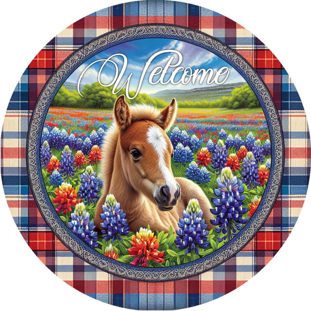 Spring Wreath Sign, Summer Wreath Sign, Welcome Wreath Sign, Colt ...