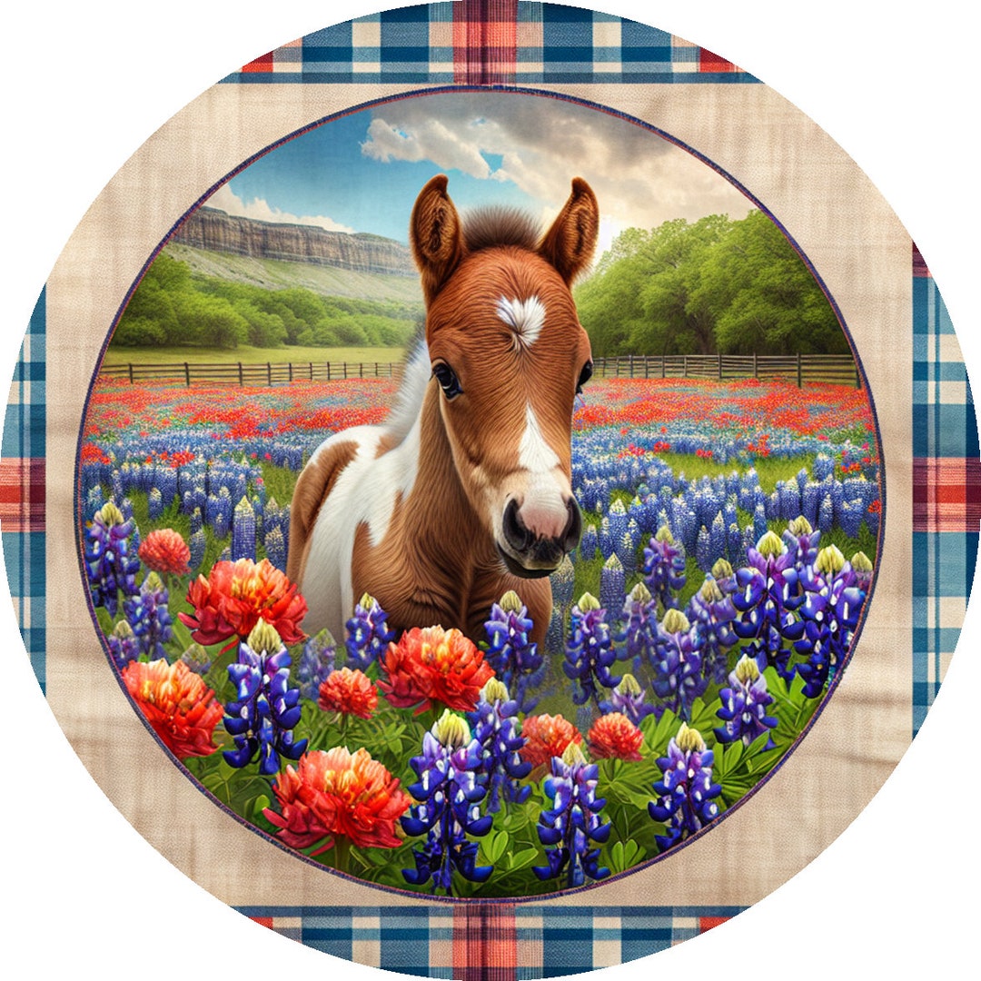 Spring Wreath Sign, Summer Wreath Sign, Bluebonnet Wreath Sign, Horse ...
