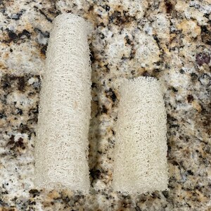 Homegrown Loofah Sponge | Eco-friendly | All Natural | Biodegradable ...
