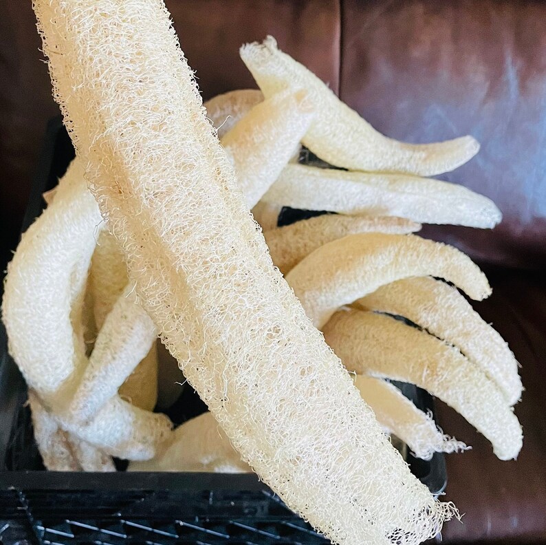 Homegrown Loofah Sponge | Eco-friendly | All Natural | Biodegradable ...