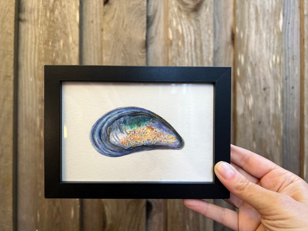 Mussel Shell Framed Art Print - Etsy