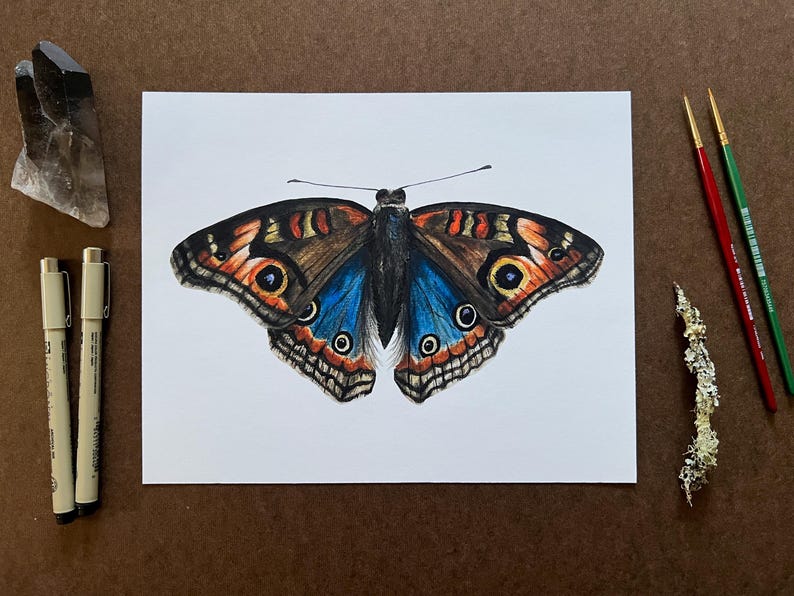 Butterfly Archival Art Print - Etsy
