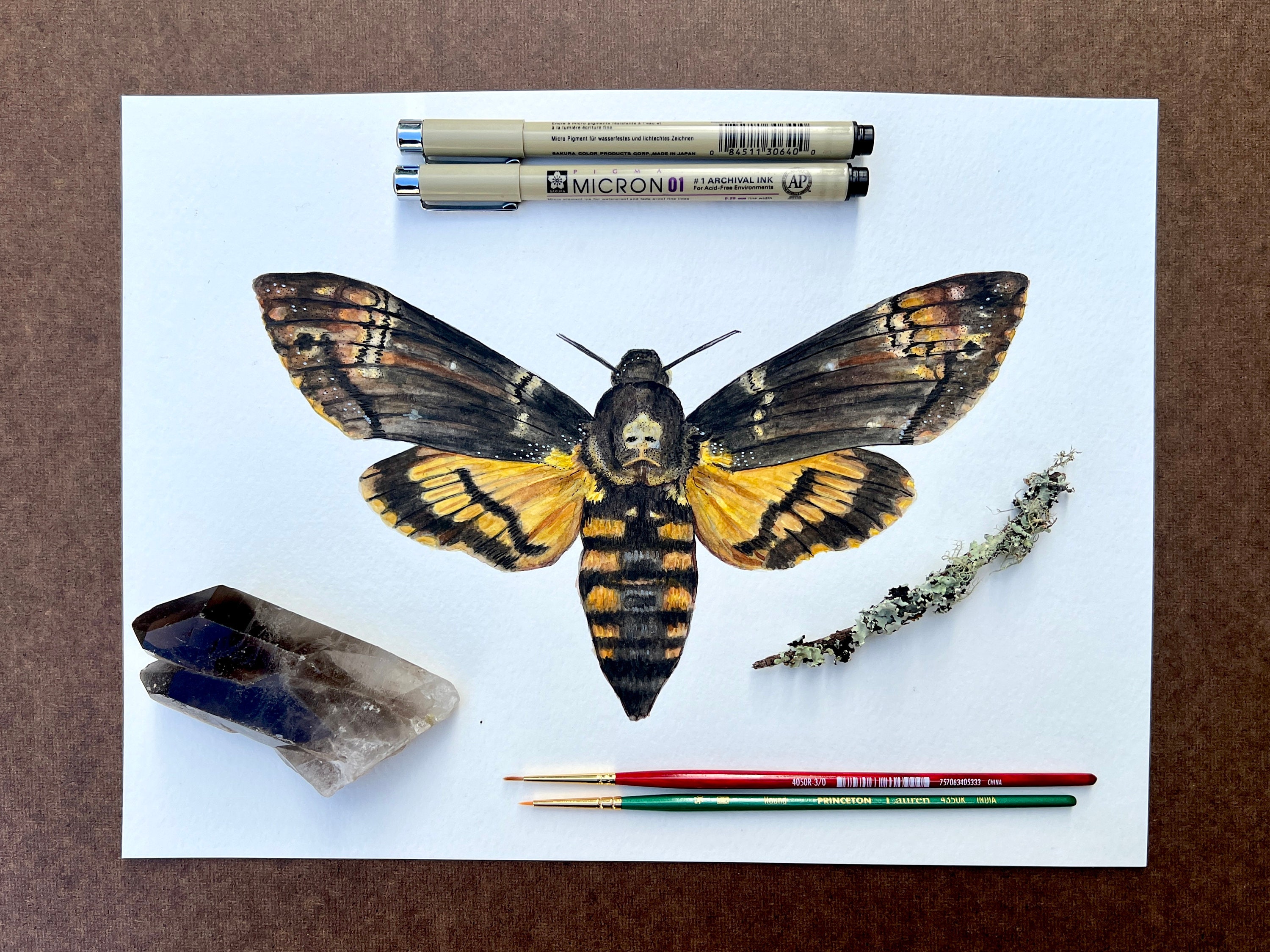 Death Hawk Moth Archival Art Print - Etsy