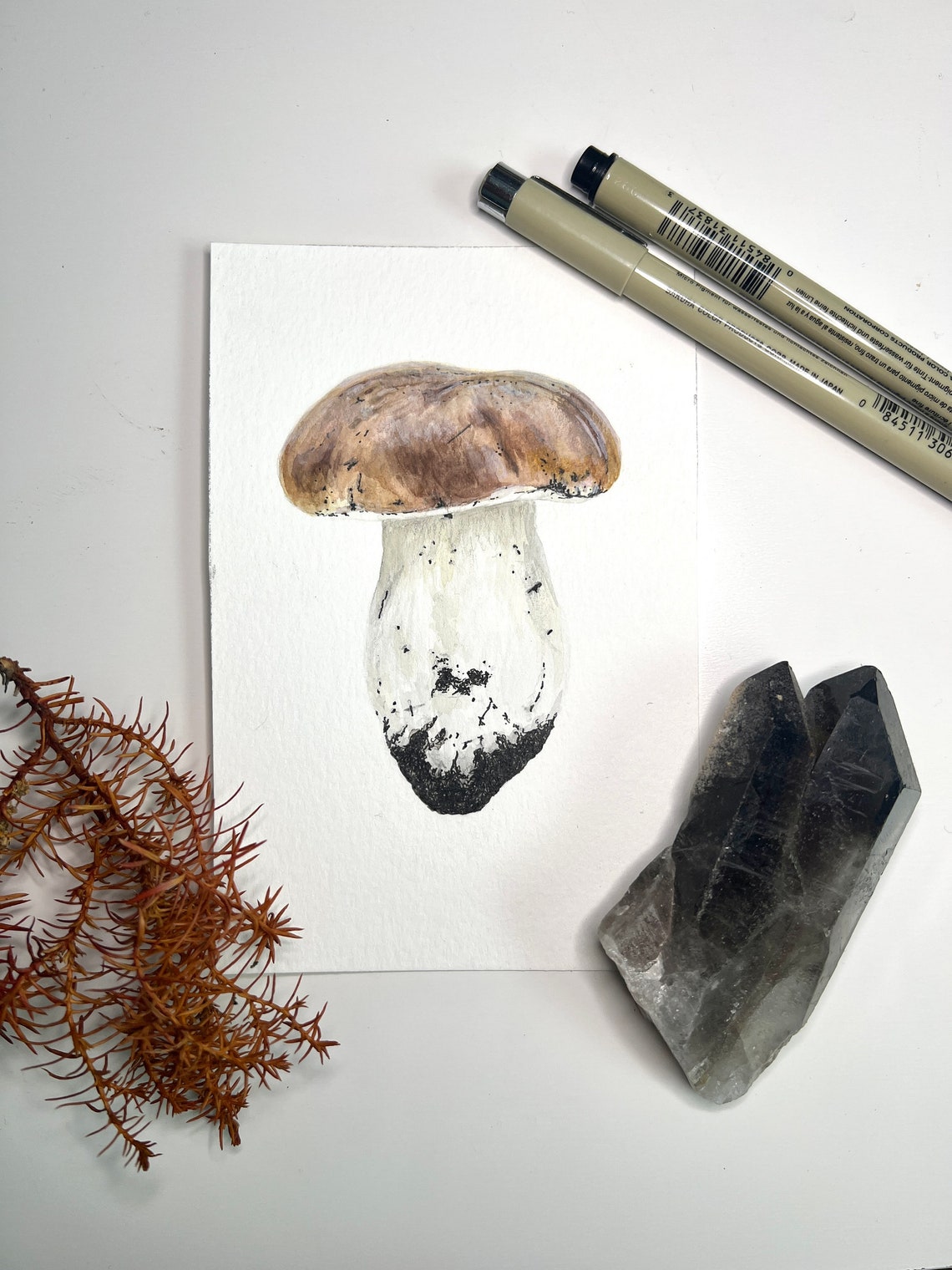 Queen Bolete Archival Art Print - Etsy
