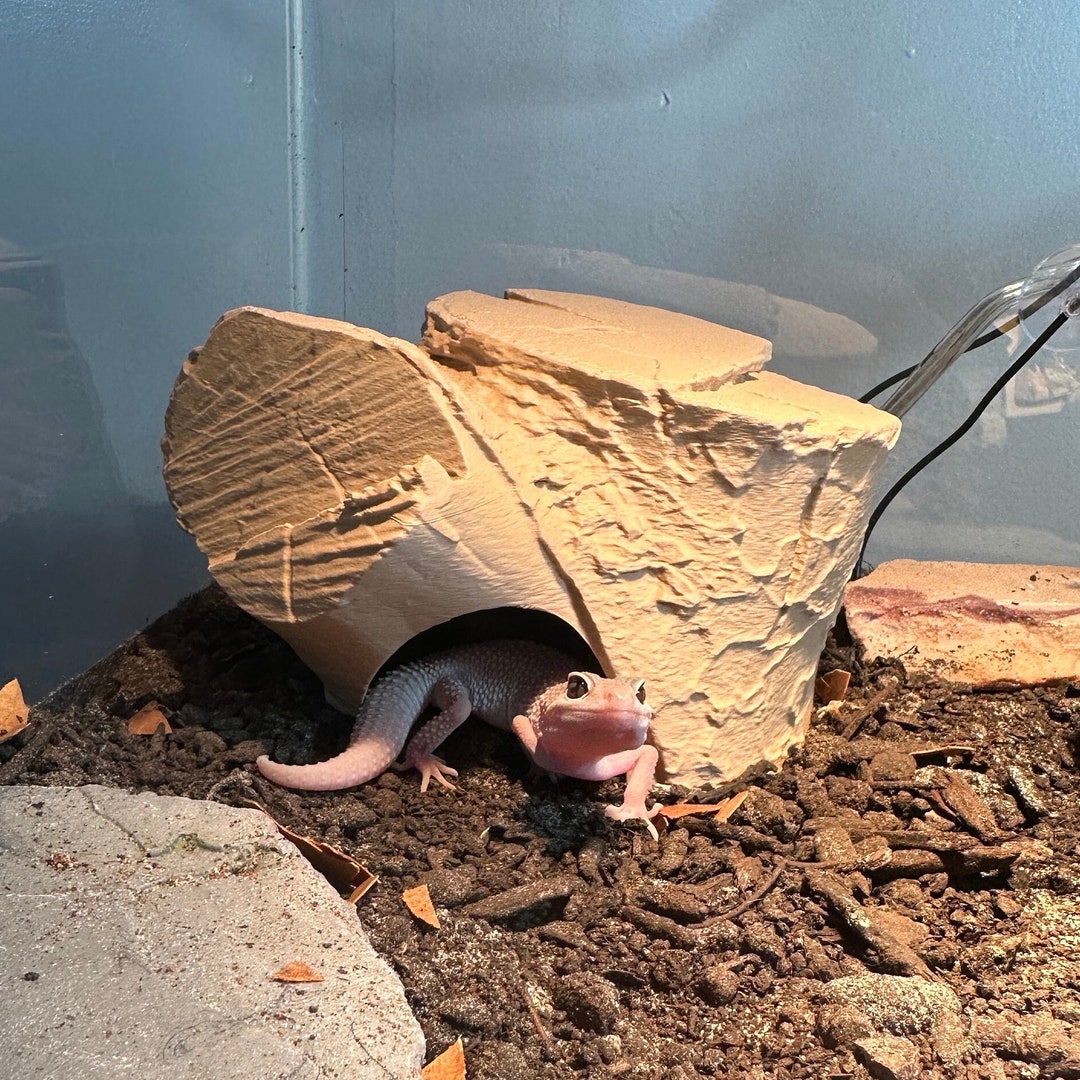 Tree Trunk Leopard Gecko/reptile Hide - Etsy