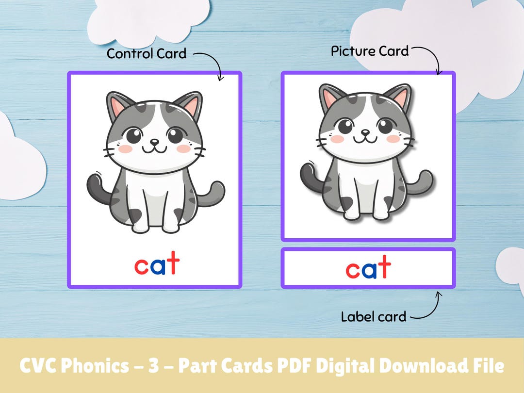 30 CVC Words Montessori 3-part Card Set - Digital PDF Download With ...