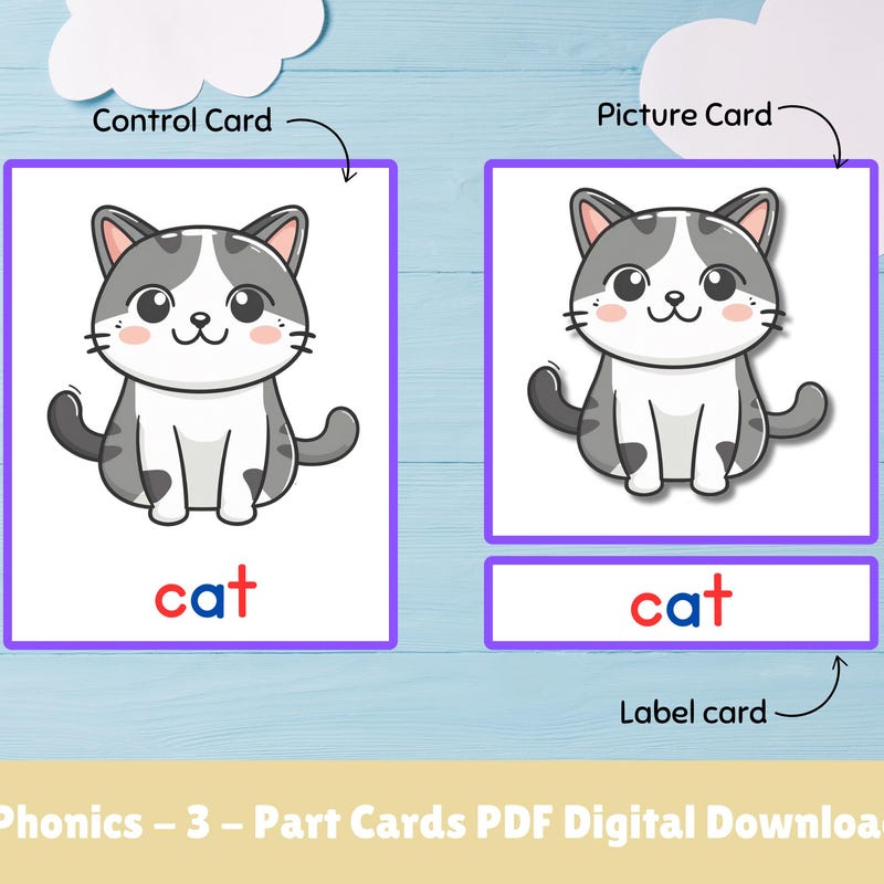 Montessori Cvc Cards - Etsy