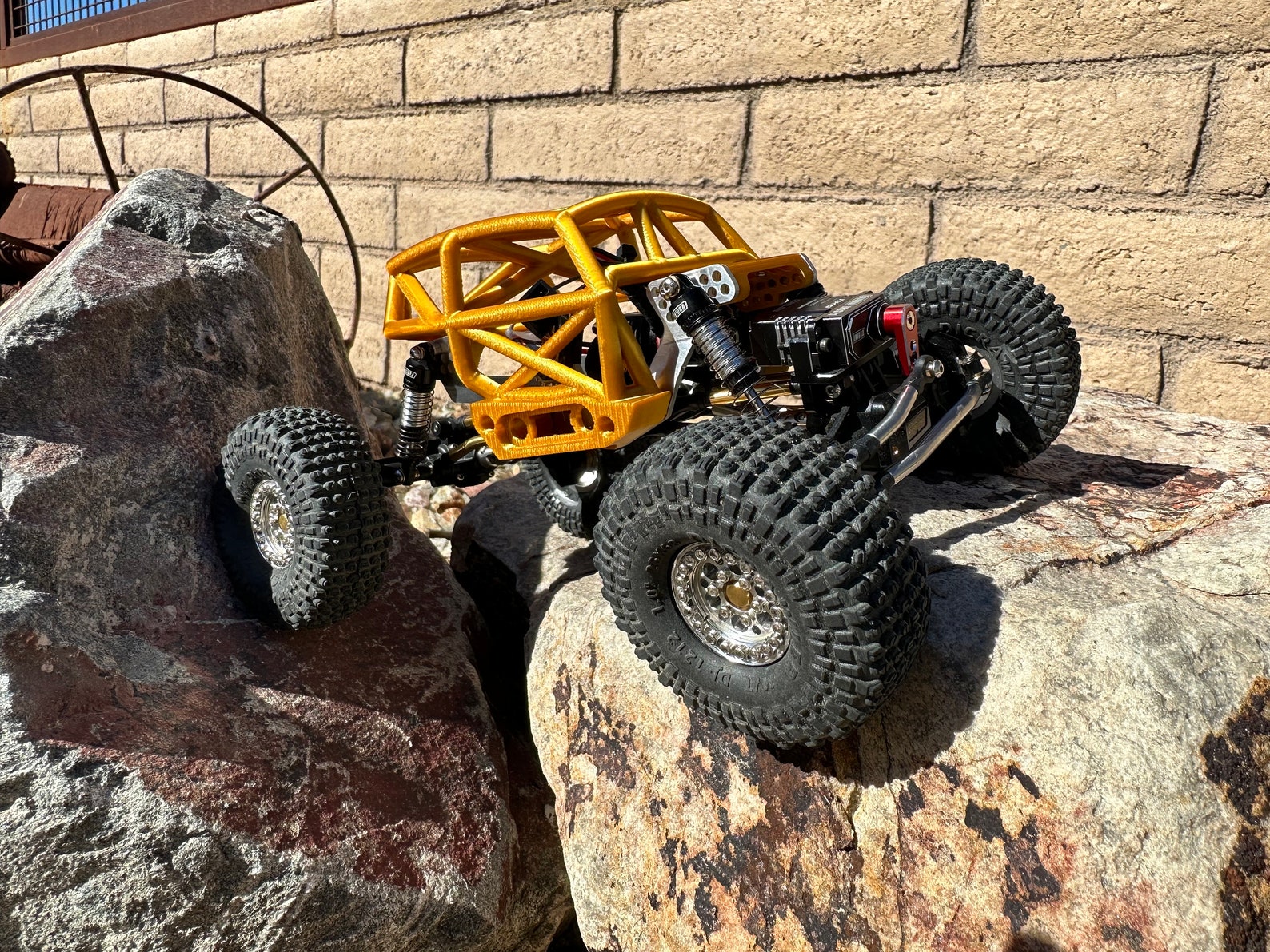 Buggin Out Cage - Etsy