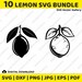 10 Lemon SVG Bundle, Clipart, Image, Silhouette, Vector, Svg, Dxf, Png ...