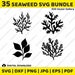35 Seaweed Leaf SVG Bundle, Clipart, Image, Silhouette, Vector, Svg ...