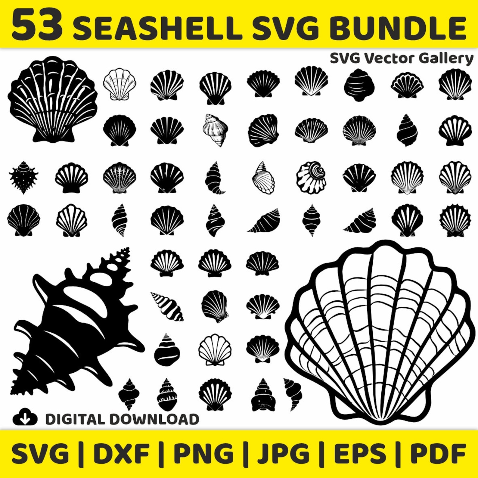53 Seashell SVG Bundle, Clipart, Image, Silhouette, Vector, Svg, Dxf ...