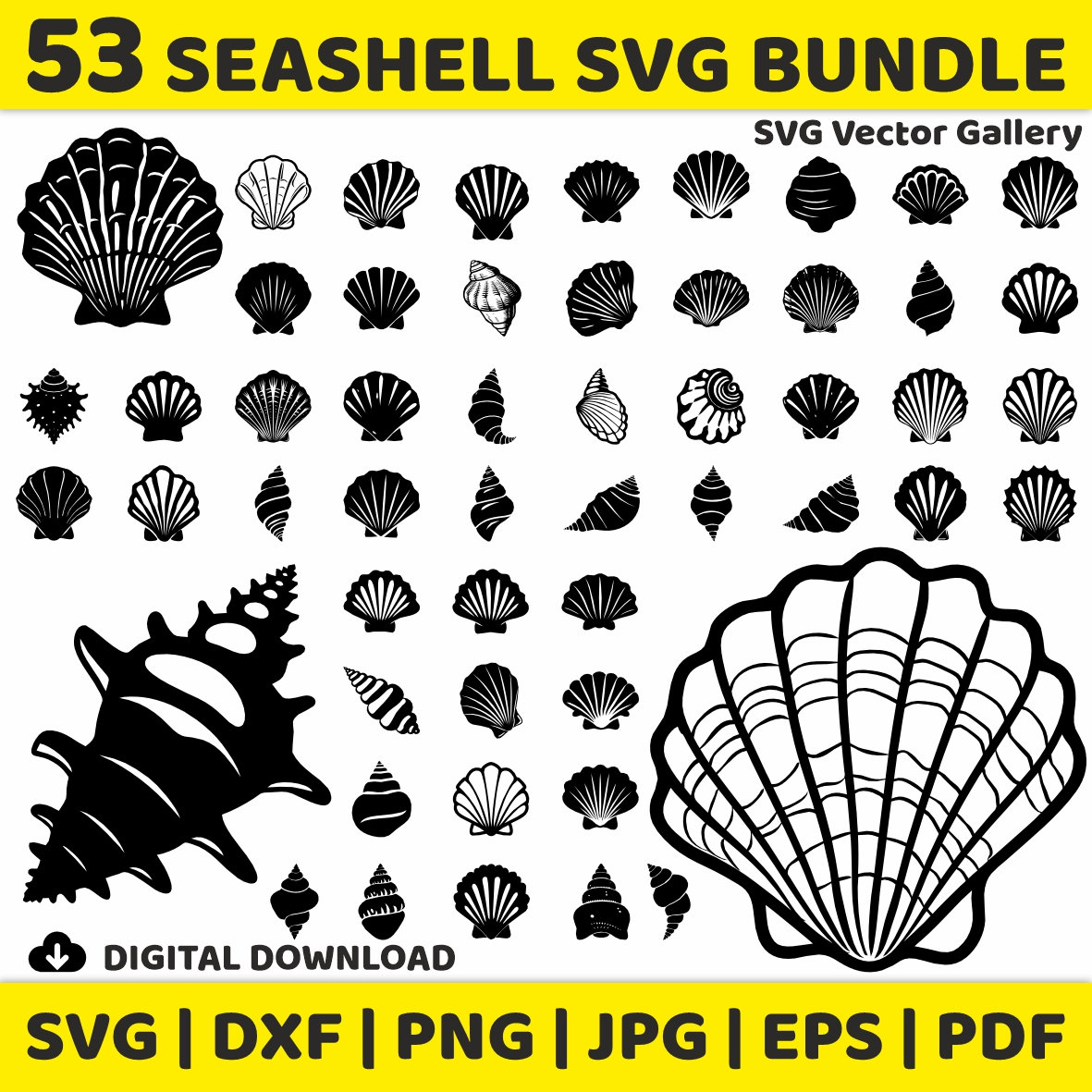 53 Seashell SVG Bundle, Clipart, Image, Silhouette, Vector, Svg, Dxf ...
