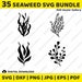 35 Seaweed Leaf SVG Bundle, Clipart, Image, Silhouette, Vector, Svg ...