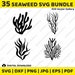 35 Seaweed Leaf SVG Bundle, Clipart, Image, Silhouette, Vector, Svg ...