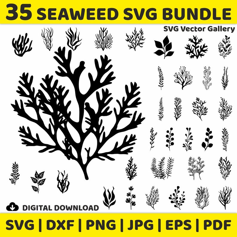35 Seaweed Leaf SVG Bundle, Clipart, Image, Silhouette, Vector, Svg ...