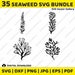 35 Seaweed Leaf SVG Bundle, Clipart, Image, Silhouette, Vector, Svg ...