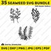35 Seaweed Leaf SVG Bundle, Clipart, Image, Silhouette, Vector, Svg ...