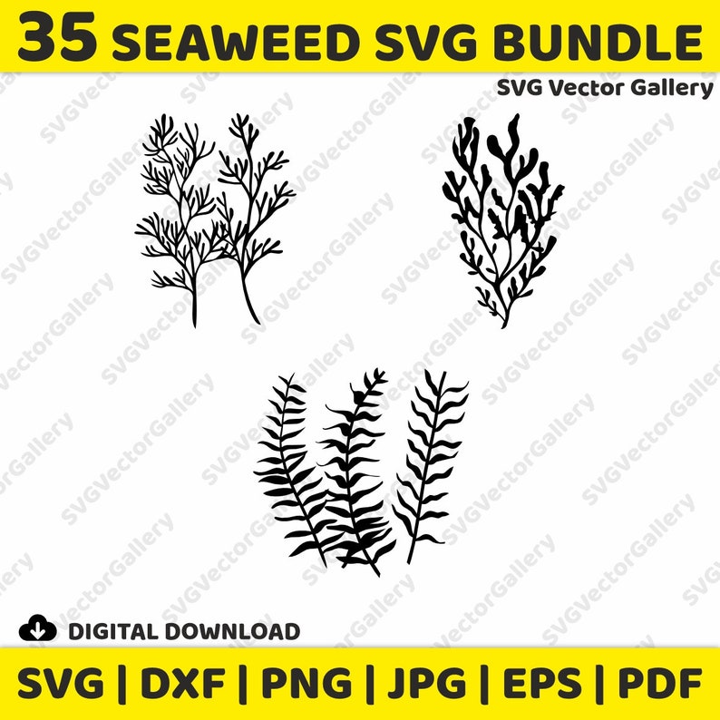 35 Seaweed Leaf SVG Bundle, Clipart, Image, Silhouette, Vector, Svg ...