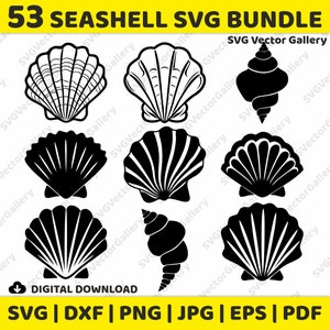 53 Seashell SVG Bundle, Clipart, Image, Silhouette, Vector, Svg, Dxf ...